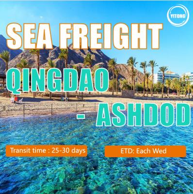 China Reliable Air and Sea Freight Shipping to Middle East DDP 6-8 Days for sale
