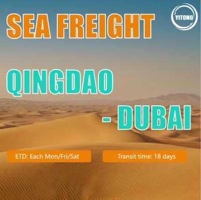 China FCL LCL Sea Freight Forwarder to Dubai from China 18 Days Transit Time for sale