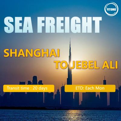 China Sea Freight Service from China to Jebel Ali Dubai 15-25 Days Transit for sale