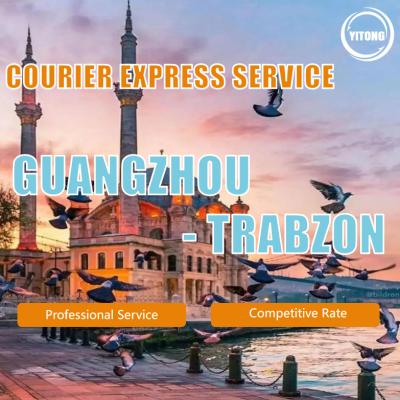 China Freight Forwarder Sea Air Express Shipping from China to Egypt Turkey DDP 15-35 Days for sale