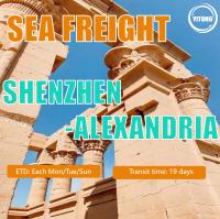 China Sea Freight From China to Egypt Quick Safe Service for sale