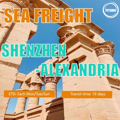 China Sea Freight From China to Egypt Quick Safe Service for sale