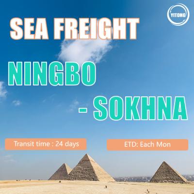 China China to Egypt Sea Freight Shipping Service 20 Days Transit Time DDP Cargo for sale