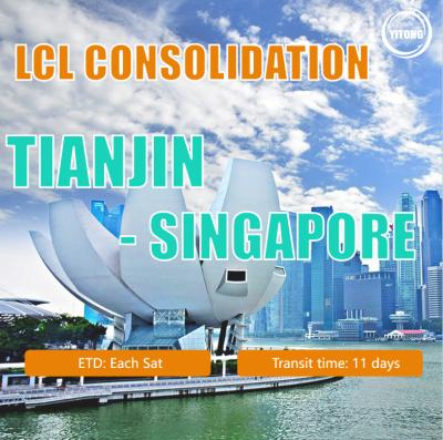 China Door to Door Sea Shipping Agent China to Singapore DDP DDU FCL LCL 25 Days for sale