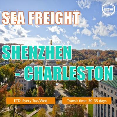 China Marine Shipment From Shenzhen To Charleston for sale