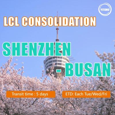 China LCL Logistics From Shenzhen To Busan Korea for sale