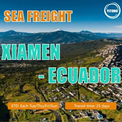 China Sea Freight from Xiamen to Ecuador FCL LCL 15-25 Days Shipping Service for sale