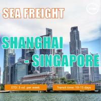 China Sea Freight Shipping from Shanghai to Singapore FCL LCL 14-18 Day Transit for sale
