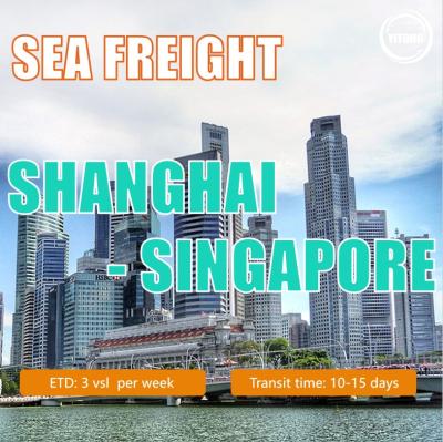 China Sea Freight Shipping from Shanghai to Singapore FCL LCL 14-18 Day Transit for sale