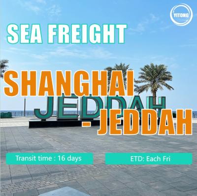 China ocean Freight From Shanghai To Jeddah Saudi Arabia for sale