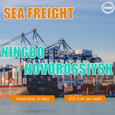 China Sea Freight Shipping from Ningbo to Novorossiysk 25-35 Days FCL LCL for sale