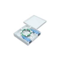 China White Optical Fiber FTTH Panel With Two SC Adapter Interfaces for sale