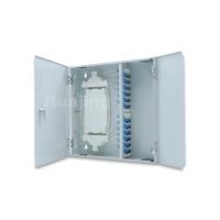 China 2 Door Cable Distribution Cabinet Wall Mounted With Metal Structure 24 Cores for sale