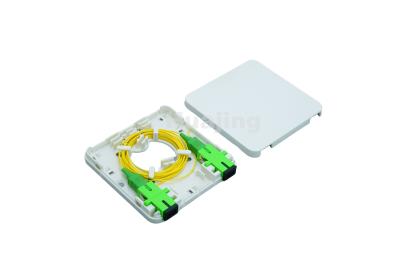 China ABS Fire Retardant FTTH Box Optical Fiber Panel with 2SC / 2LC Adapter Interface for sale