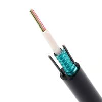 China PE Jacket GYXTW 12-Core Fiber Optic Cable Outdoor Dielectric Communication Cable with Steel Tape Armor for sale