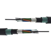 China GYTA53 Direct Burial Double Armored 24 Core Fiber Optic Cable G652D 13.3mm for sale