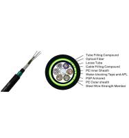 China Outdoor Armored Fiber Optic Cable 2-288 Cores G652D Single/Multi Mode GYTA/GYTS/GYTA53 with 12.6-24.3mm Diameter for sale