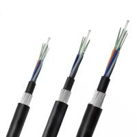 China GYFTY33 Single Mode G652D Armoured Fiber Optic Cable 48 Core Direct Burial for sale