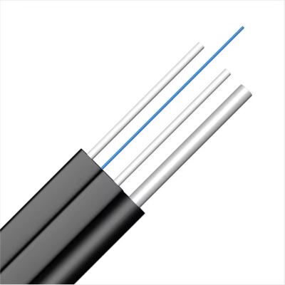 China FTTH Drop Cable Fiber Optic Cable 1/2/4 Core G657A1 Self-Supporting with 300/600N Tensile Strength for sale