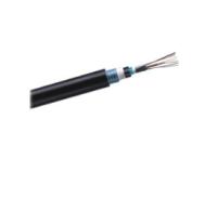 China 24 Count Armored Fiber Optic Cable Anti Mouse Termite Squirrel Bird Peck for sale
