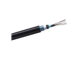 China 24 Count Armored Fiber Optic Cable Anti Mouse Termite Squirrel Bird Peck for sale