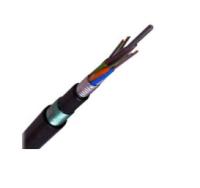 China 24 Count Armored Fiber Optic Cable Anti Mouse Termite Squirrel Bird Peck for sale