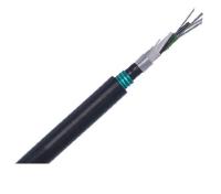 China GYTA Non Metallic Fiber Optic Cable PE Jacket Steel Armored Central Strength Member for sale