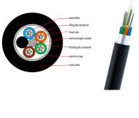 China GYFTY 1000 Feet Fiber Optic Cable 6 Core 24 Core Outdoor Armoured Ofc PE Sheat for sale