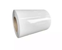 China Prepainted Zinc Steel Coil CGCC DX51D Color Coated Sheet PPGI for sale