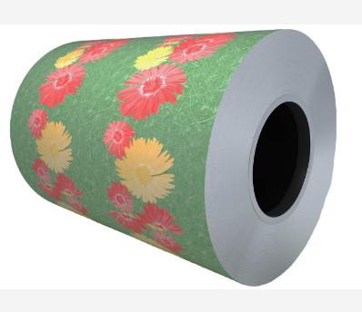 China DX51D Prepainted RAL Color Coated Steel Coil PPGI Wear Resistant for sale