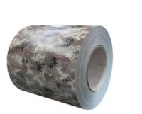 China Color Coated PPGI PPGL High Strength Prepainted Gi Steel Coil Cold Rolled for sale