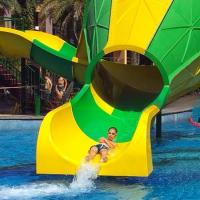 China Small Speaker Type Aqua Park Slide Tornado Pool Slide International Standard for sale