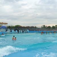 China Air-Operated Wave Pool Equipment 45kW Power 0.3-1.2m Wave Height Fiberglass Construction for Water Parks for sale