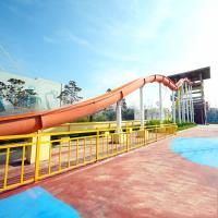 China Freefall Fiberglass Water Slide 8m Height 180 Guests/Hour Capacity for Aqua Amusement Parks for sale
