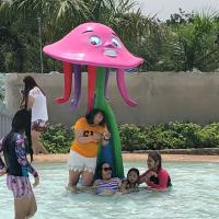 China Fiberglass Water Park Spray Toys with 500kg Capacity and 12+ Year Lifespan for Amusement Parks for sale
