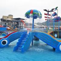 China Multicolor Octopus Water Slide for Children - 7000x3800mm Fiberglass Play Structure with 500kg Capacity for sale