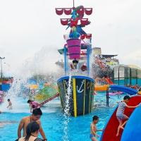 China 18m x 16m x 9m Pirate Ship Water Park Structure with 11KW Power and 500kg Capacity for sale