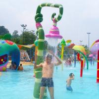 China Flower Spray Shower Fiberglass Water Park Equipment with 500kg Capacity and 12+ Year Lifespan for Amusement Parks for sale