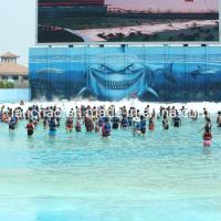 China LANCHAO ISO9001 Vacuum Wave Pool Equipment - 2m Wave Height, 55KW Power for Water Parks & Resorts for sale