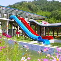China Outdoor Family Friendly Commercial Water Slide for Aqua Parks and Swimming Pools for sale