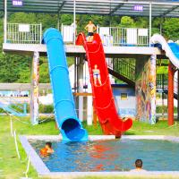 China Outdoor Family Friendly Commercial Water Slide for Aqua Parks and Swimming Pools for sale