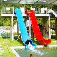 China Outdoor Family Friendly Commercial Water Slide for Aqua Parks and Swimming Pools for sale