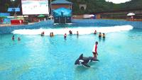 China Large Pool Aqua Park Equipment for Sale for sale