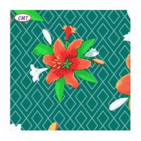 China Manufacture 600D Fabric Width 58/60