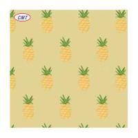 China Coated Nylon Spandex Woven Print Fabric in Eye-Catching Colors for OEM ODM Samples for sale