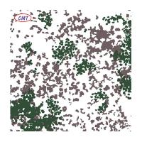China Nylon Camouflage Fabric 500D 58/60 Inch for Garment Tent and Outdoor Gear for sale
