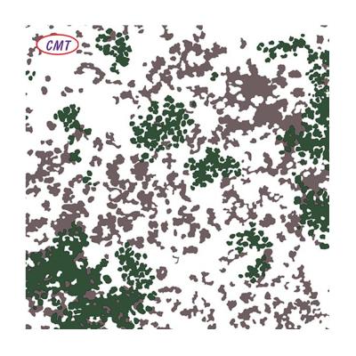 China Nylon Camouflage Fabric 500D 58/60 Inch for Garment Tent and Outdoor Gear for sale