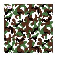 China Nylon Camouflage Fabric 500D 58/60 Inch for Garment Tent and Outdoor Gear for sale