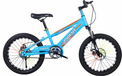 China Soft tail Frame Mtb 20 Inch Mountain Bike With Disc Brakes Front Suspension for sale