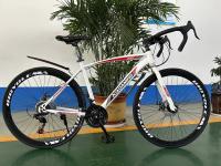 China Fast Delivery Racing Mountainbikes Mens Road Bike Sizing 700c 21 Speed for sale
